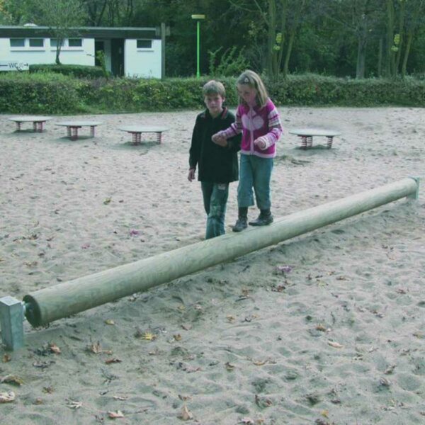 Turning Log
