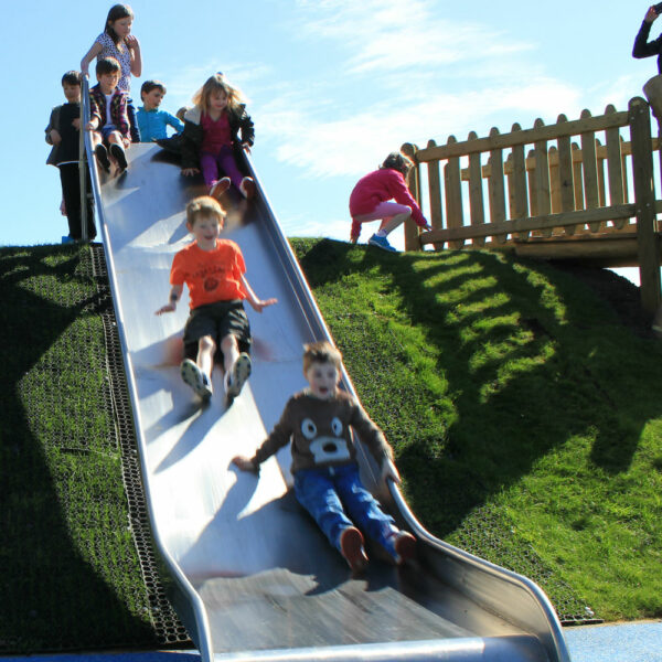 Double Width Slide & Ladder