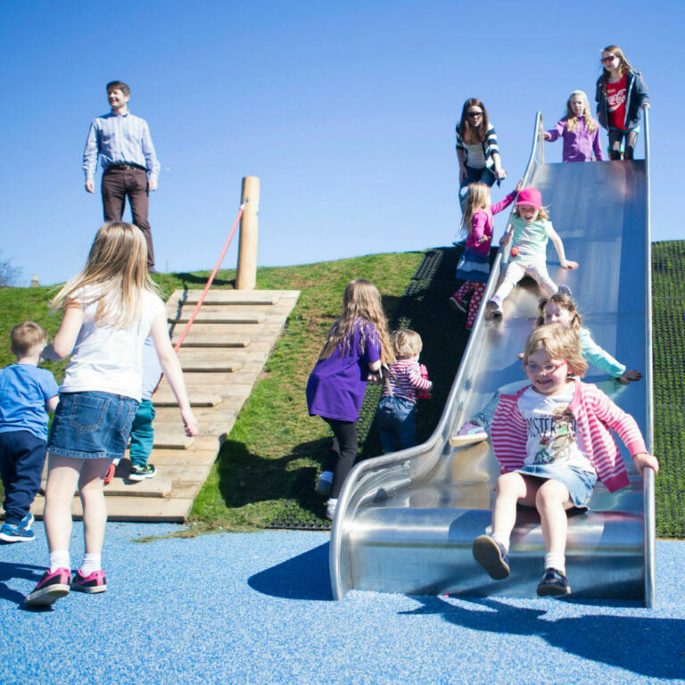 Double Width Slide & Ladder