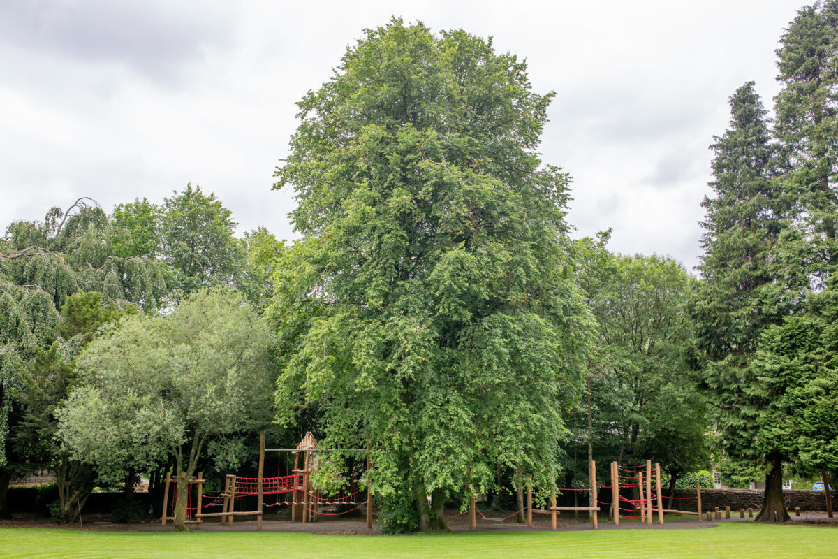 Jupiter’s mission to Rewild play spaces! - Jupiter Play and Leisure