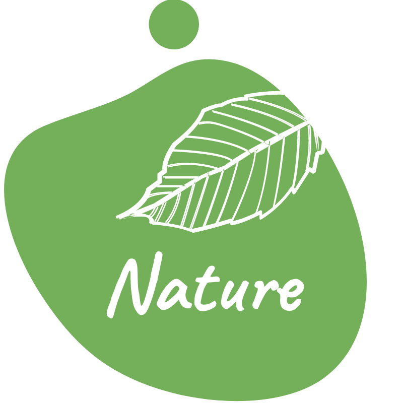 Outdoor Play, Sports & Gym Equipment | Jupiter Play